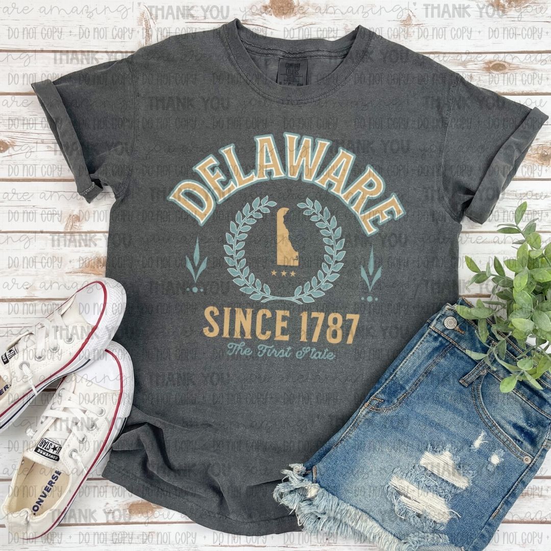 Delaware Varsity State – Grace & Co. Designs